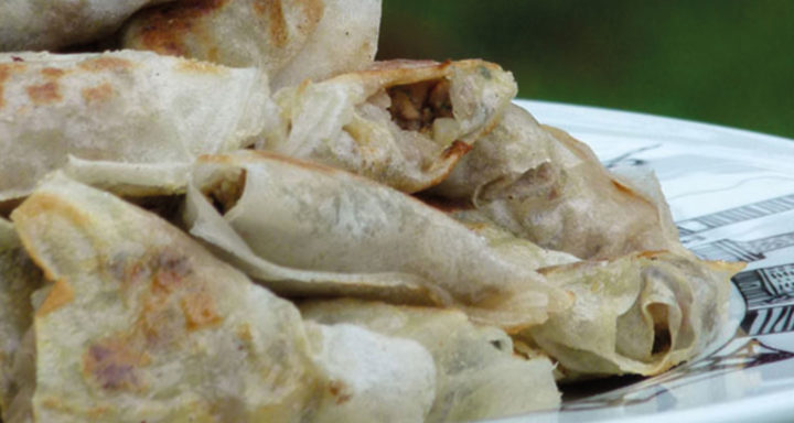 Samoussa poulet, coriandre et kiri : audacieux | Assiettes & Compagnie